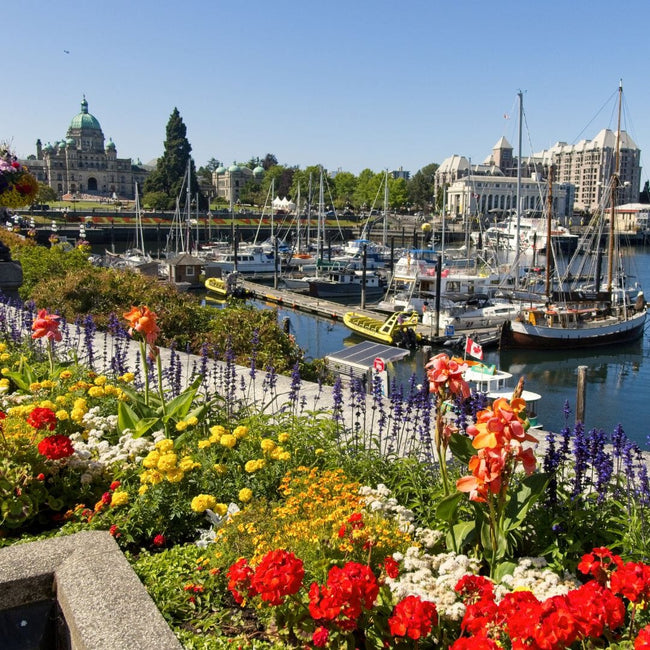 Canada City Tours – Canadian Craft Tours & Charters